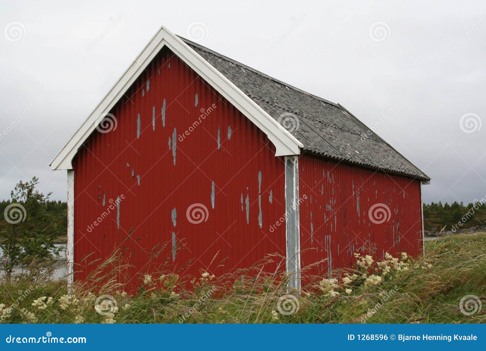 Red fishing shack stock photo. Image of norway, decay - 1268596