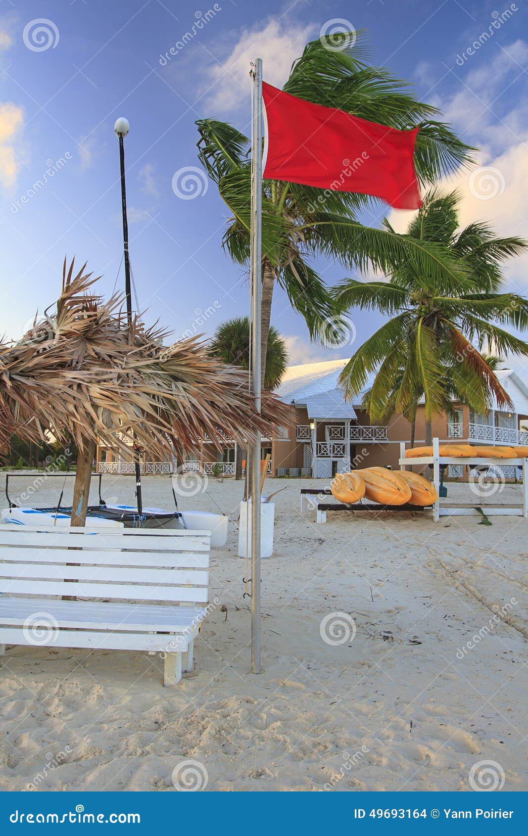 Red flag at the beach stock photo. Image of weather, limits - 49693164