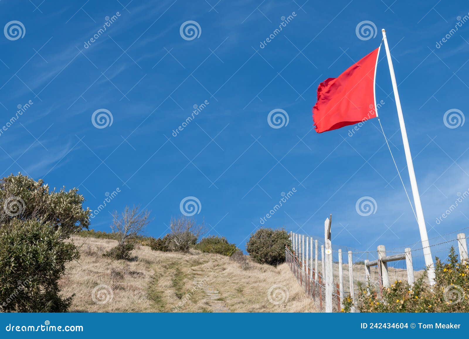 Red flag stock photo. Image of outdoor, warning, problem - 242434604
