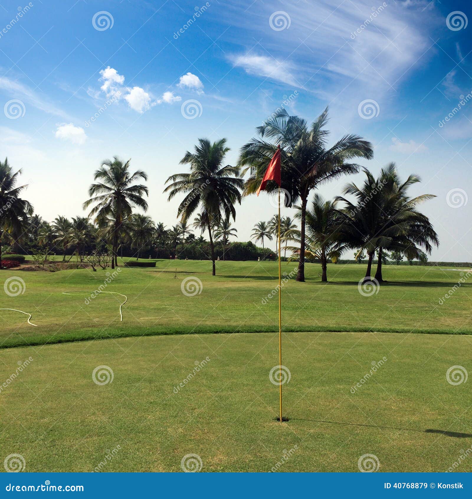 Red Flag in the Field for Golf with Palm Trees. Stock Image - Image of ...
