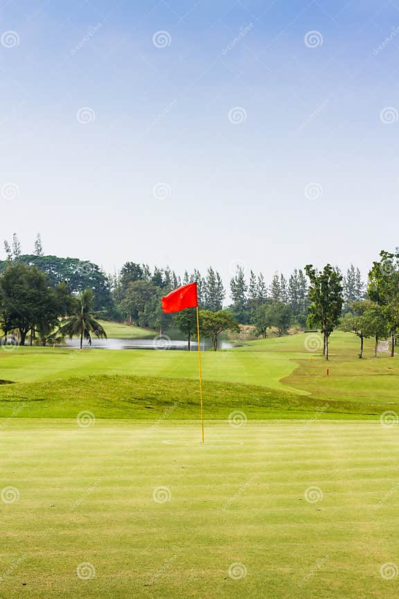 Red flag in golf course stock photo. Image of leisure - 35473206