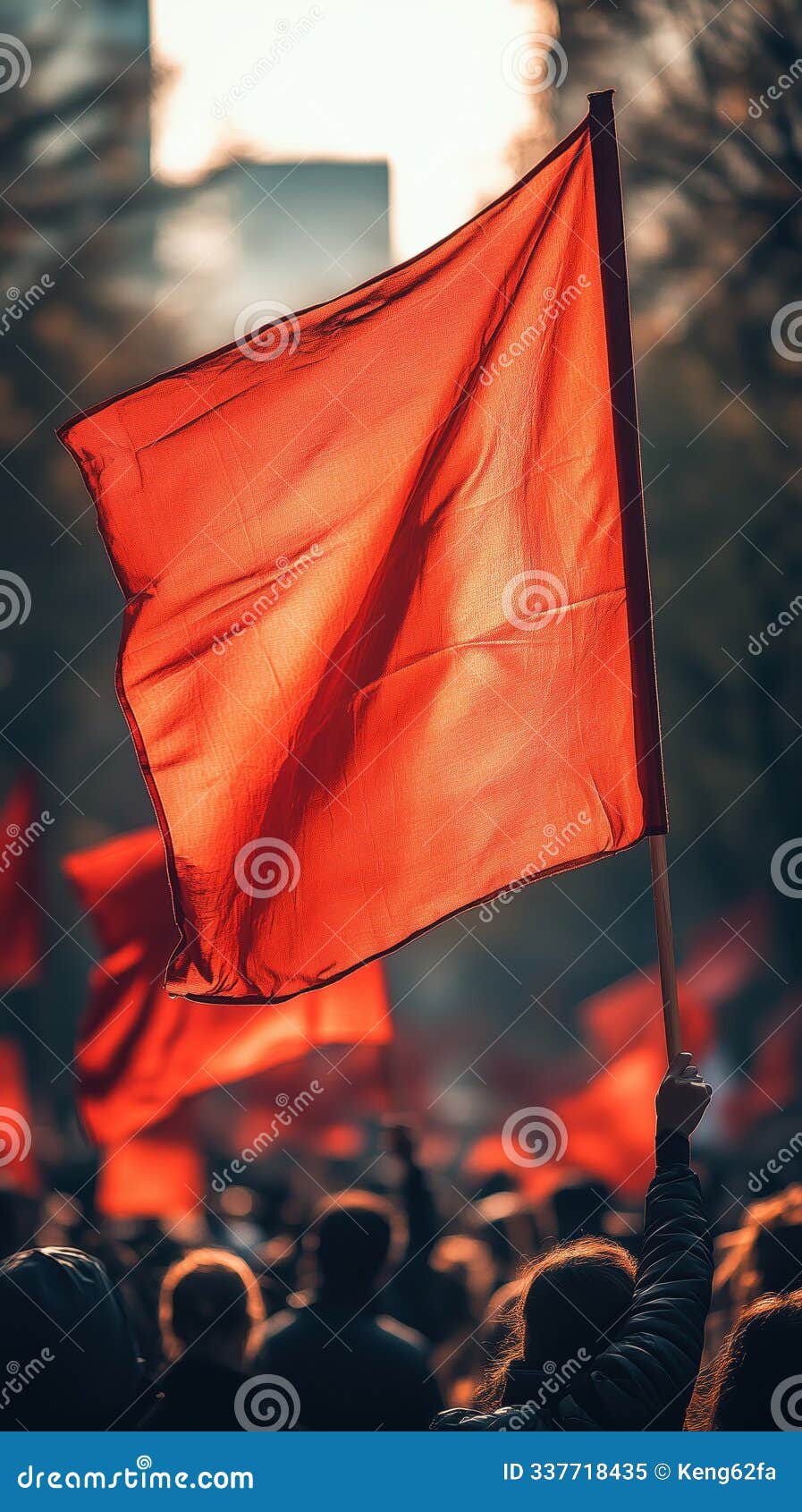 Rally Of People. Cartoon Crowd Of People With Blank Posters And Banners ...