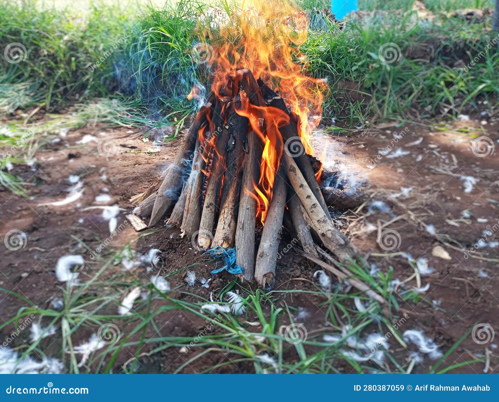 Red Flame Burning Dry Woods or Building a Campfire on the Ground Stock ...