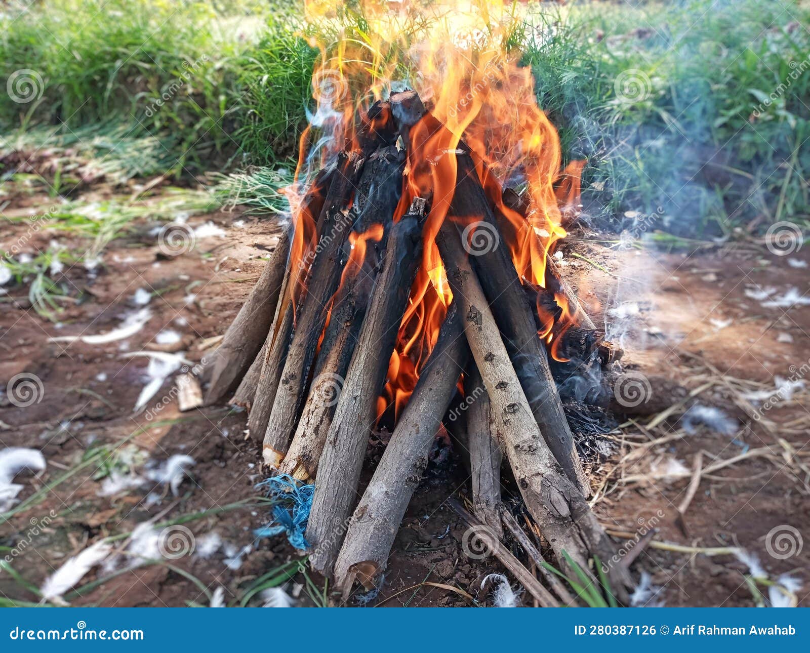 Red Flame Burning Dry Woods or Building a Campfire on the Ground Stock ...