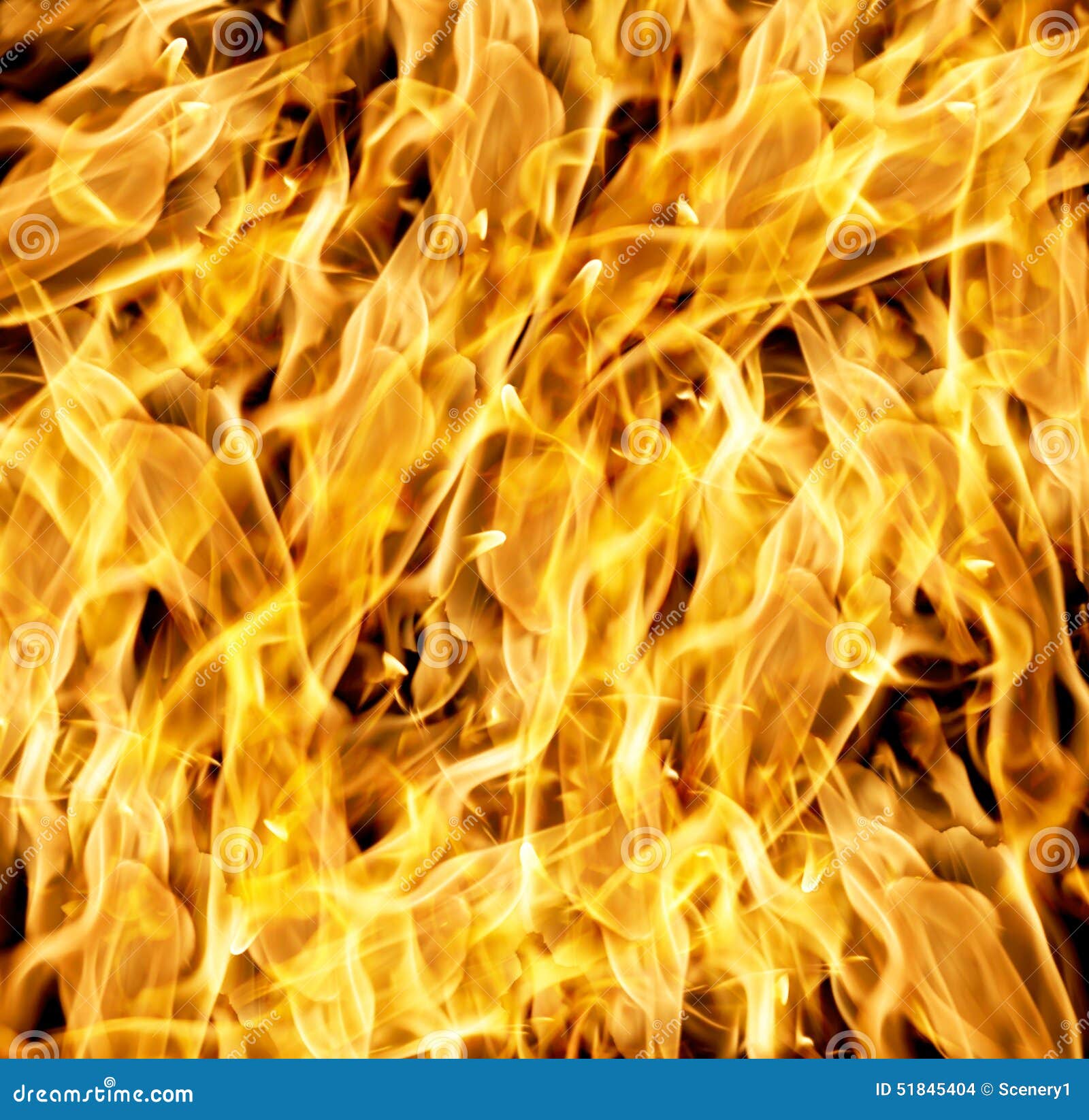 The red flames stock photo. Image of detail, behavior - 51845404