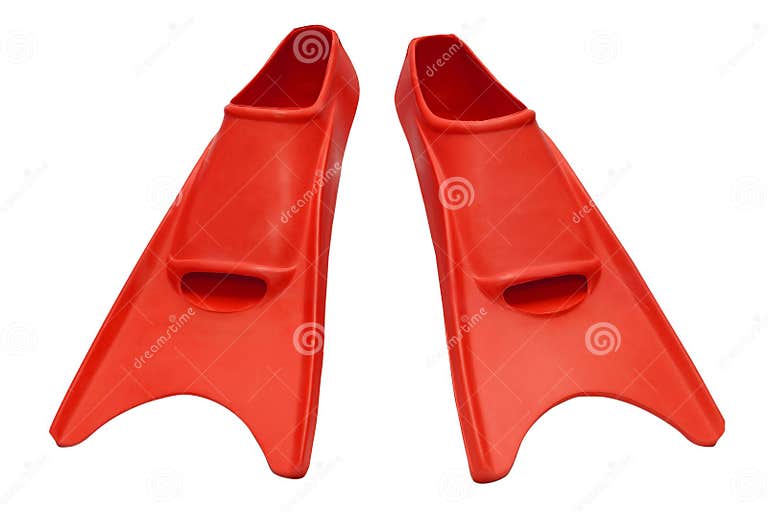 Red flippers isolated stock photo. Image of sport, scuba - 5642476