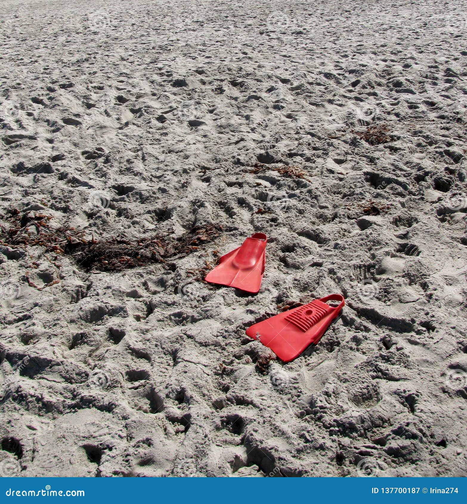 Red flippers on sand beach stock image. Image of seaweed - 137700187