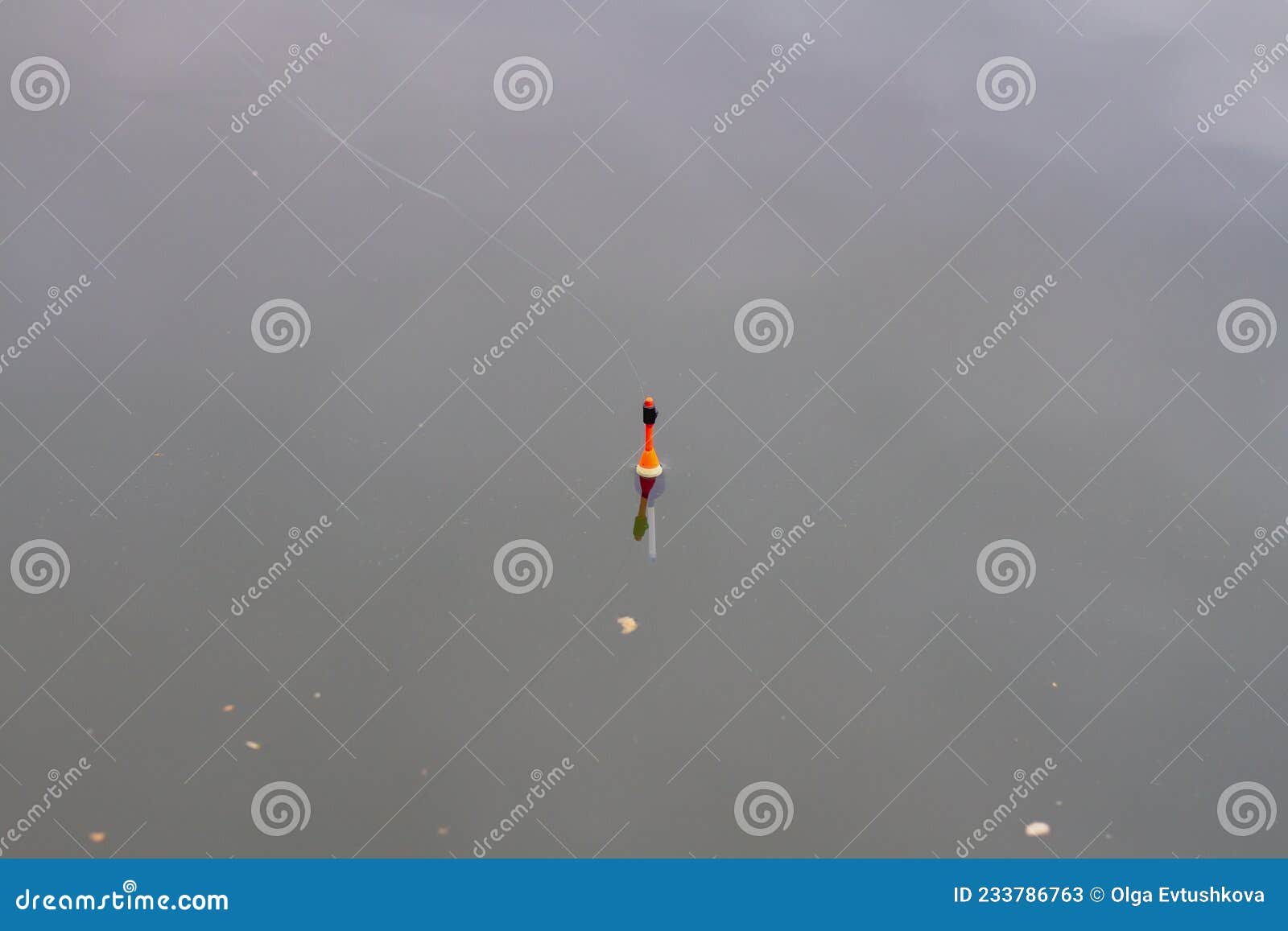 Red Float on the Water for Fishing Stock Image - Image of nature, catch ...