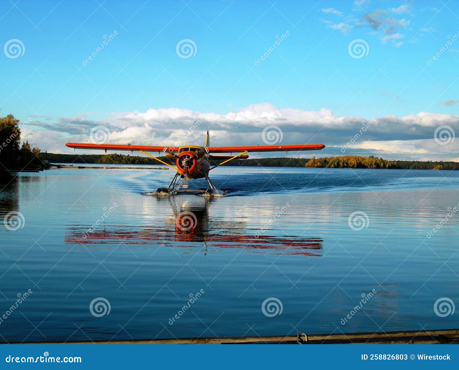 Red Floatplane Landing on the Lake in Canada Stock Image - Image of ...