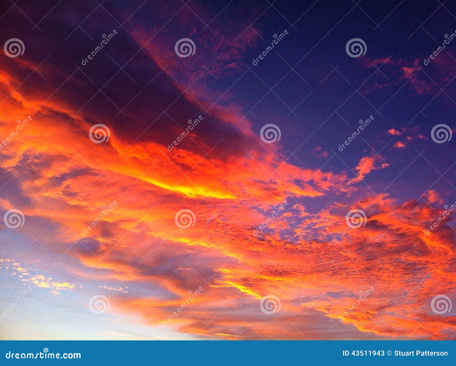 Red Florida Sunrise stock image. Image of coast, golden - 43511943