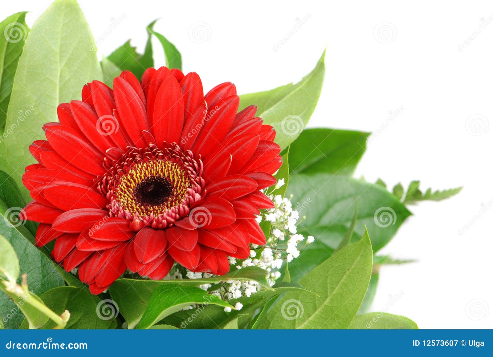 Red flower bouquet stock image. Image of gerbera, pollen - 12573607