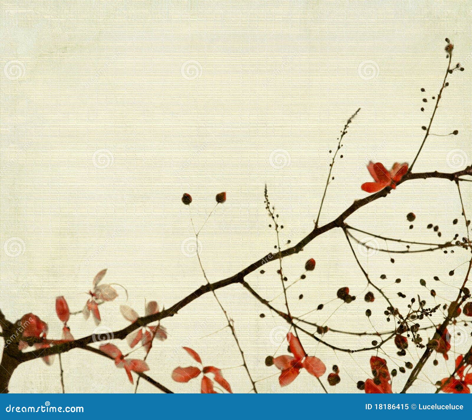 Red Flower and Foliage on Bamboo Background Stock Illustration ...