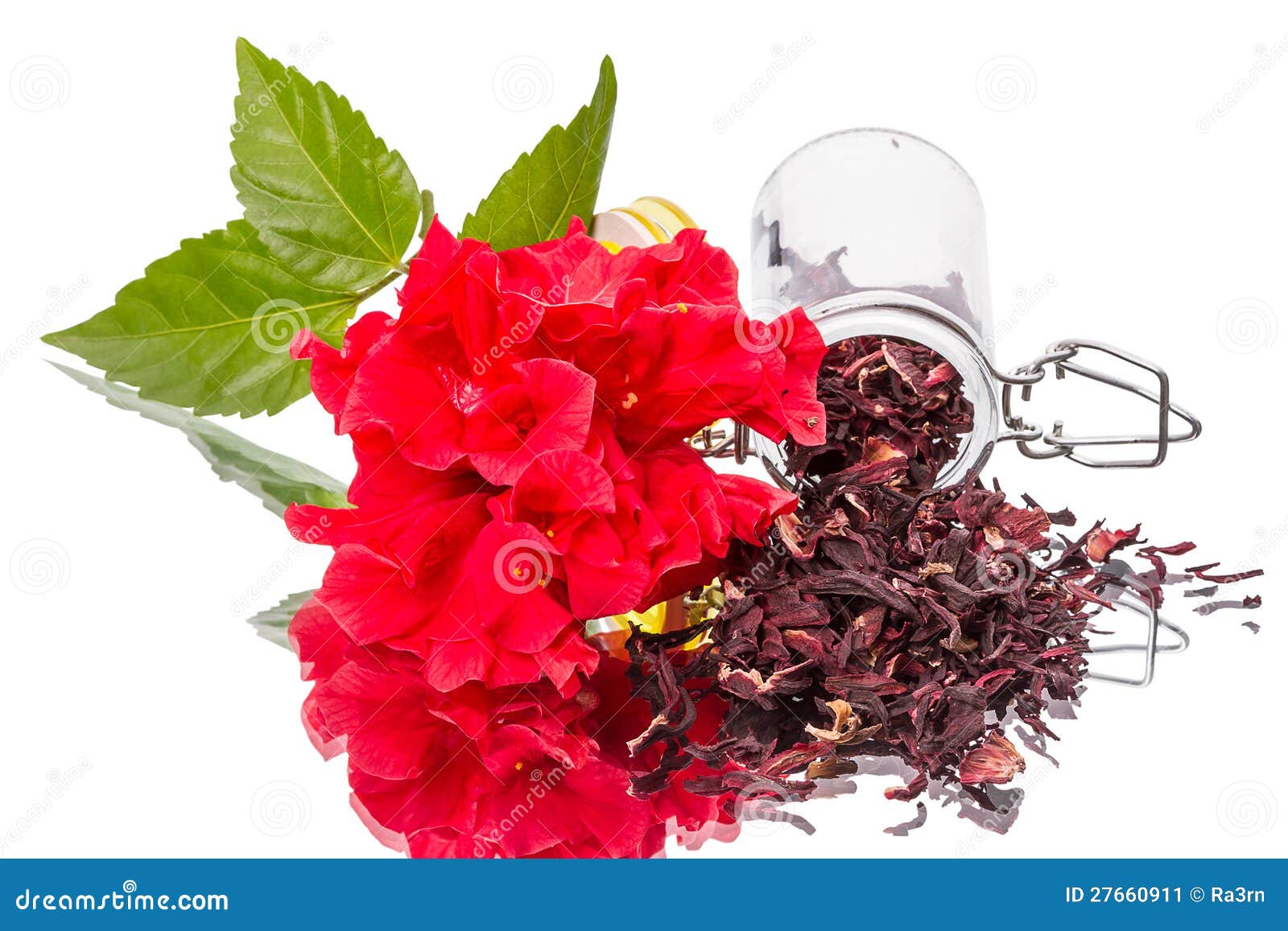 Red Flower and Hibiscus Tea on White Stock Image - Image of reflection ...