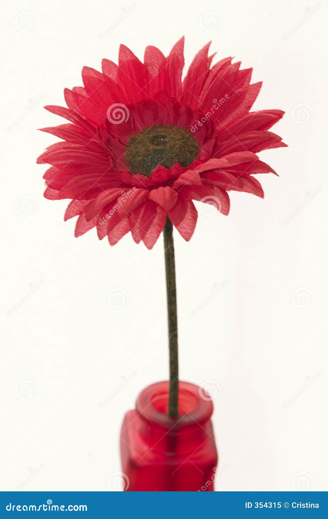 Red flower in a red vase stock image. Image of home, bottle - 354315