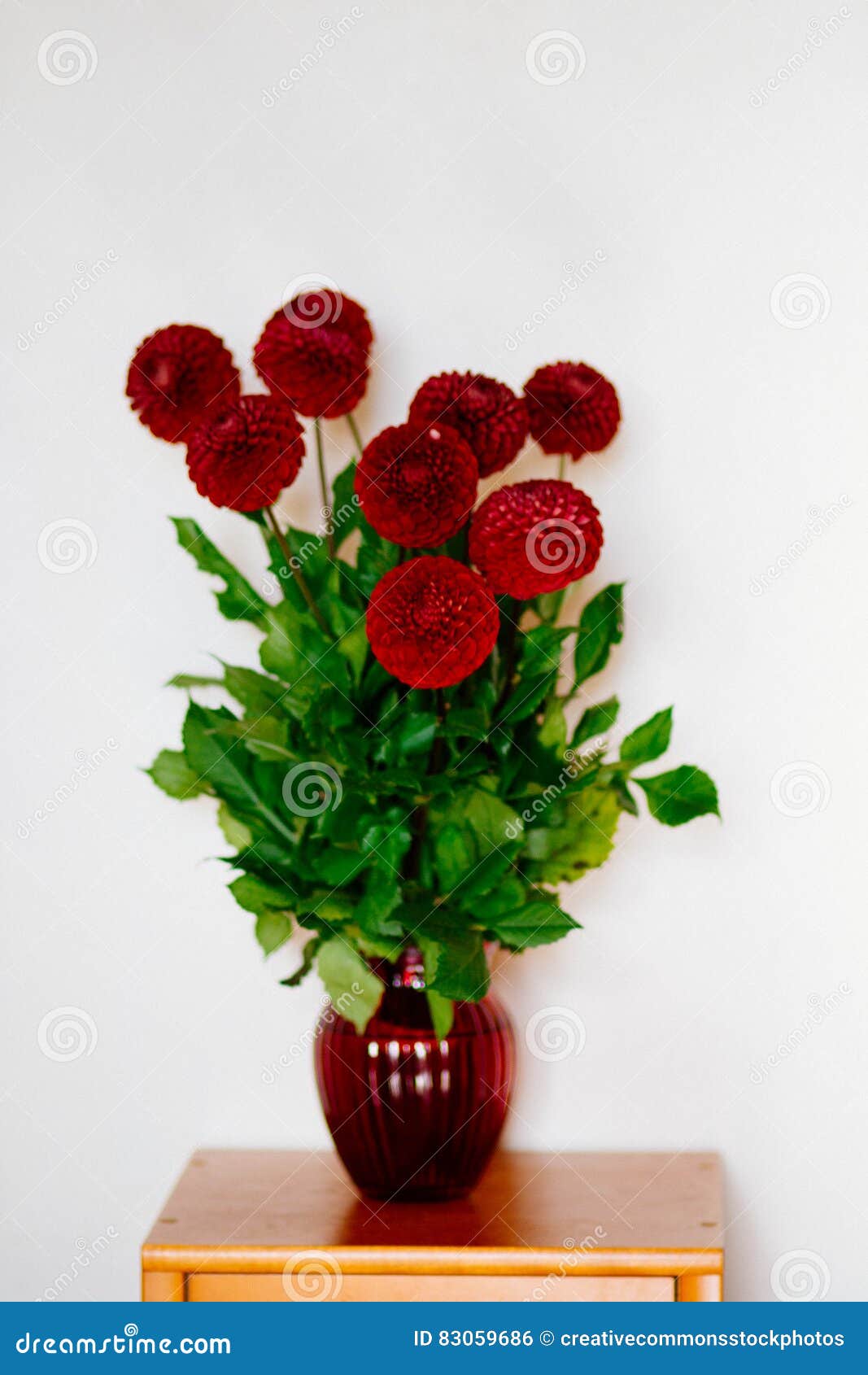 Red Flower Vase Picture. Image: 83059686
