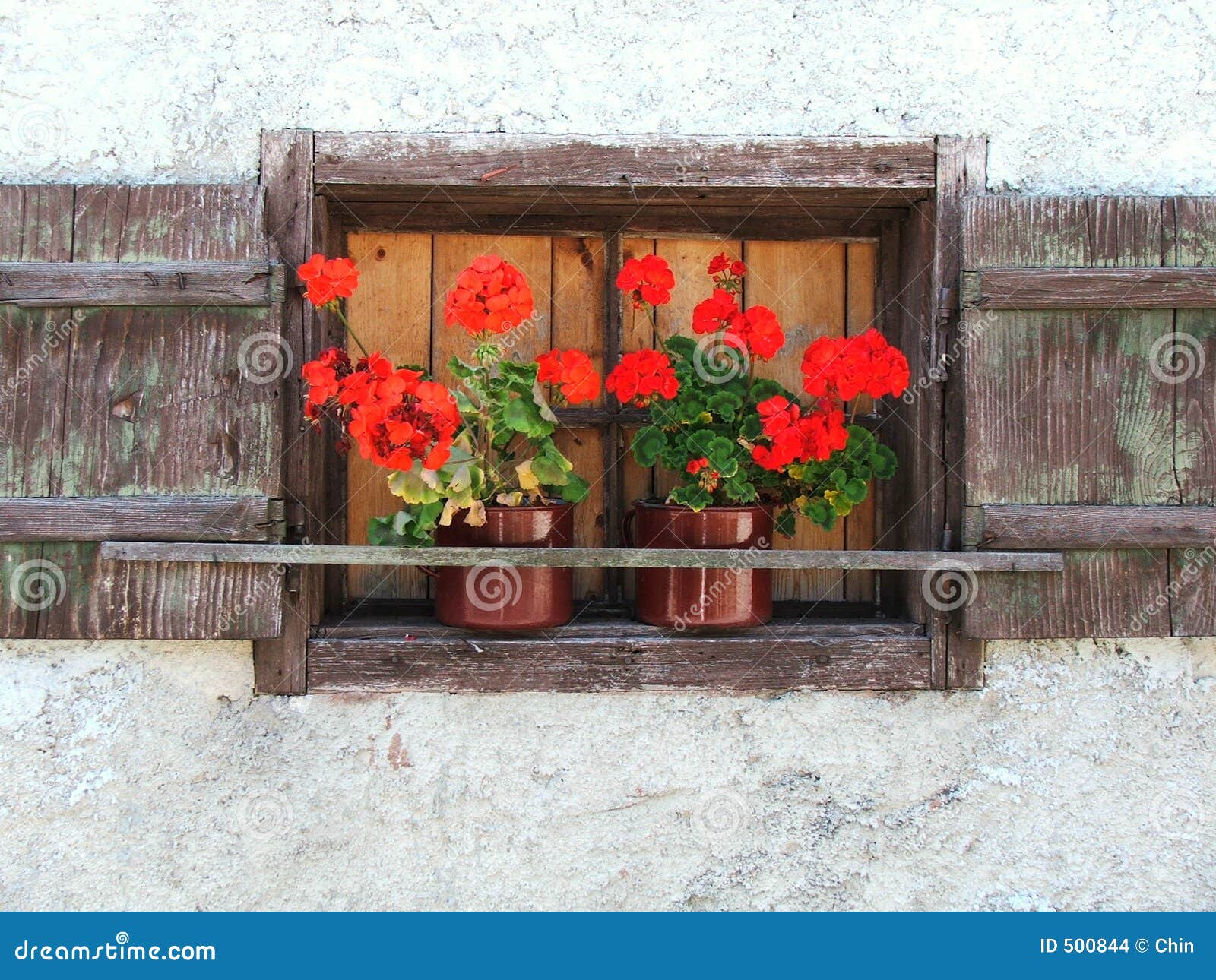 Red Flowers in Brown Window Stock Photo - Image of geranium, summer: 500844
