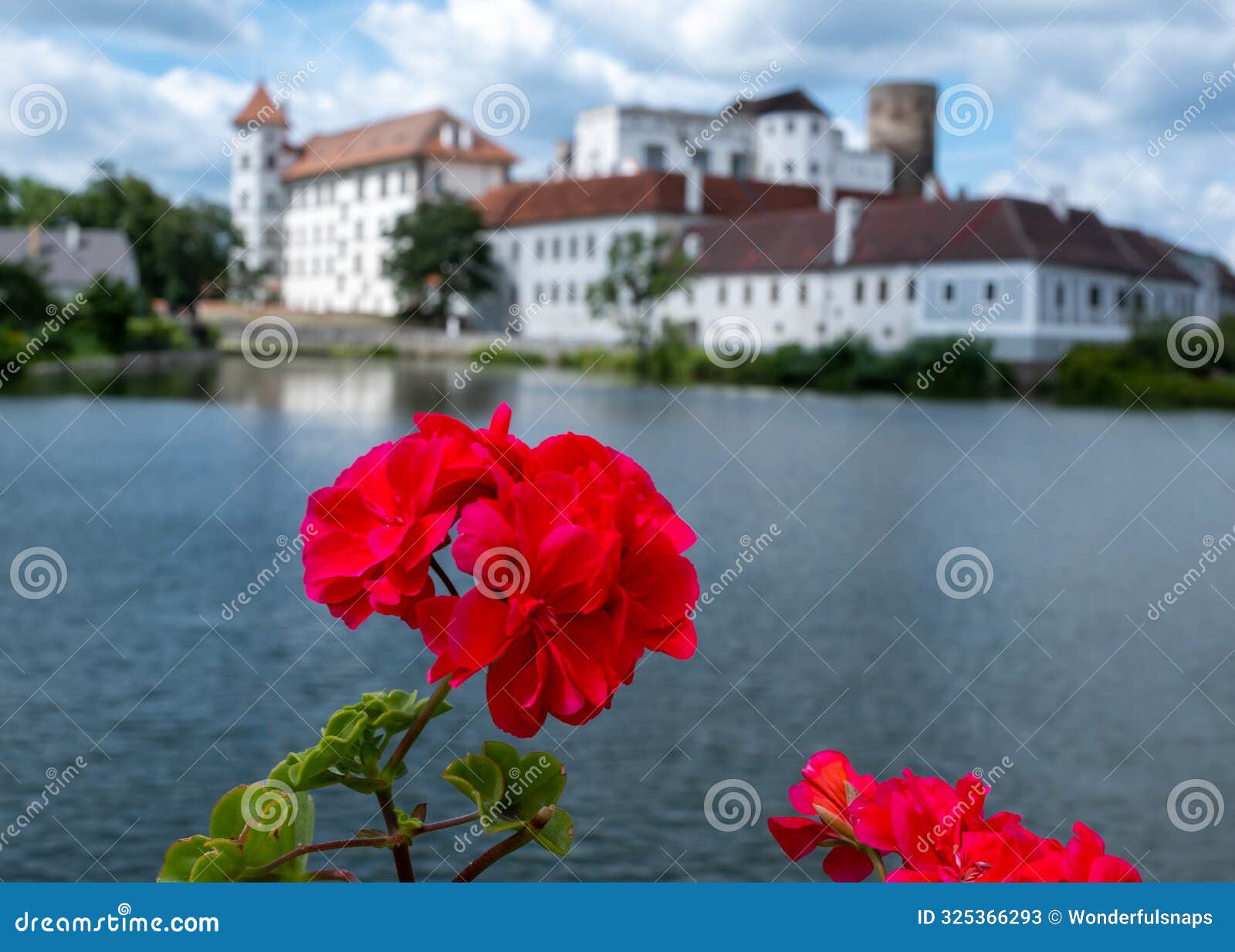 Red Flowers in Front of a Random Castle Stock Image - Image of gothic ...