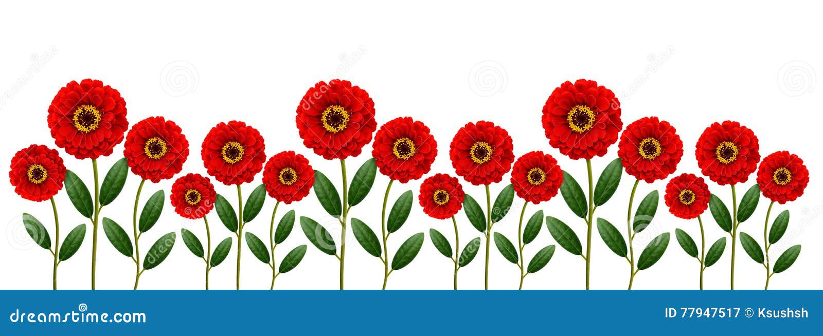Red flowers line stock image. Image of greeting, plant - 77947517