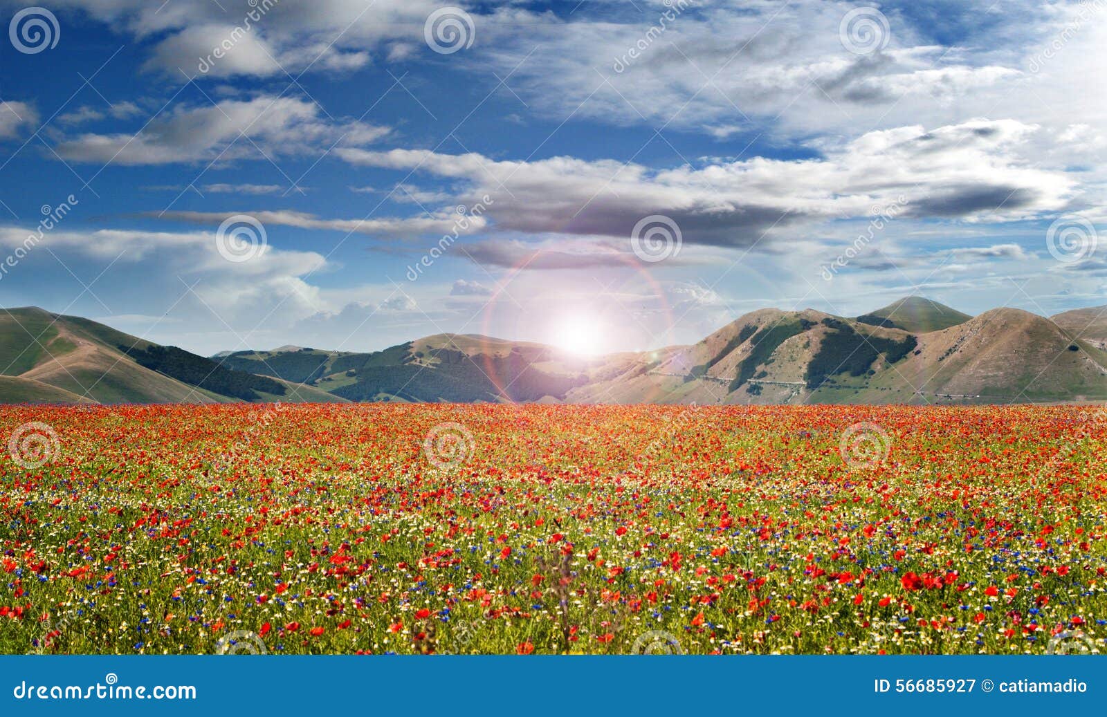Red Flowers Magic Landscape Stock Image - Image of magic, dreamy: 56685927