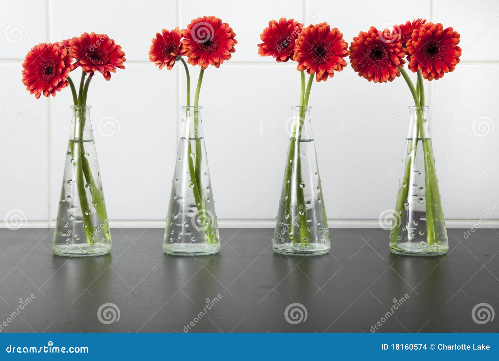 Red Flowers on a Table stock photo. Image of botanical - 18160574