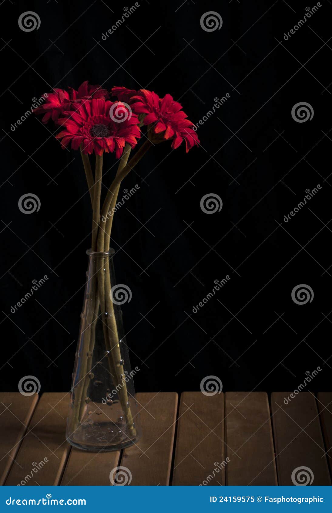 Red flowers in a vase stock image. Image of space, beauty - 24159575