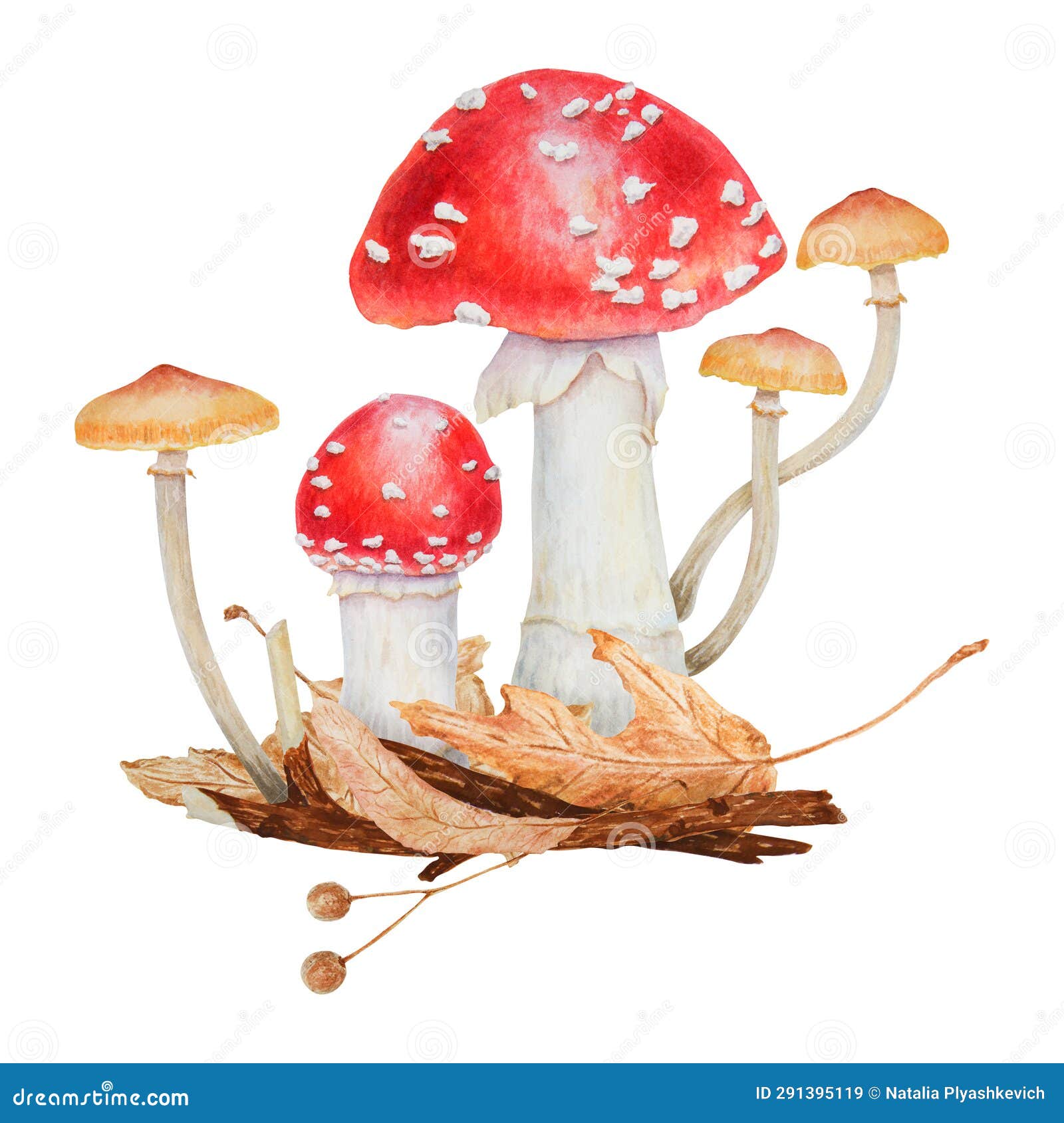 Red Fly Agaric Dried Leaves Branch Linden Seeds Watercolor Hand