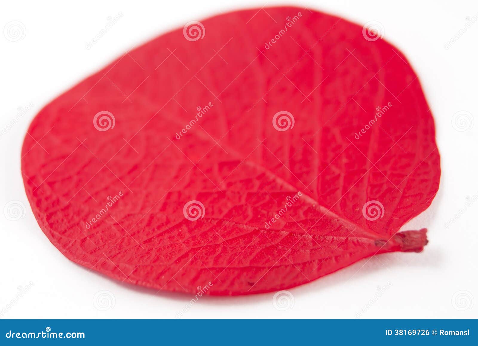 Red foliole stock photo. Image of bright, mountains, brown - 38169726