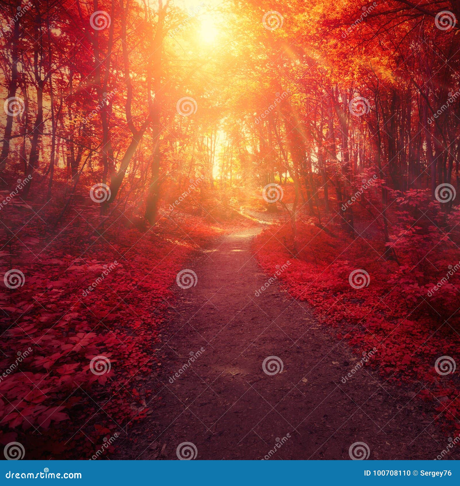 135,140 Red Light Trees Stock Photos - Free & Royalty-Free Stock Photos ...