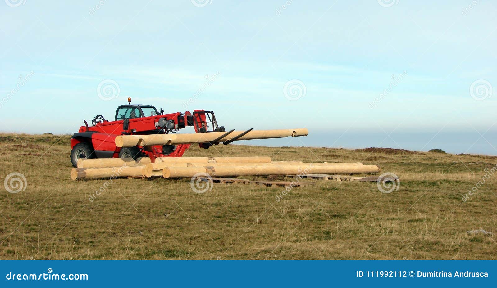 Forklift transport logs stock photo. Image of crane - 111992112