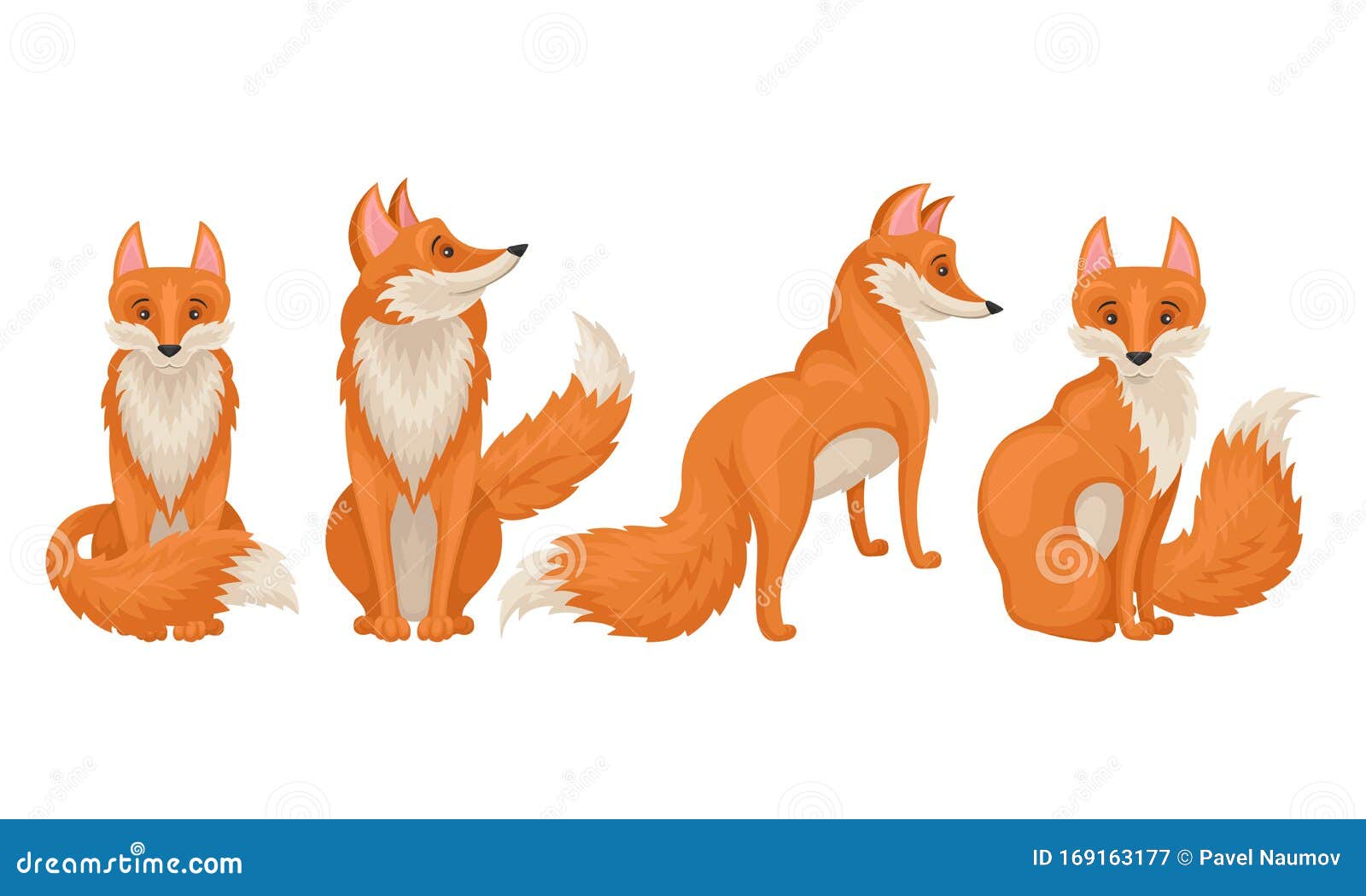 Red Fox in Different Poses Vector Illustrations Set Stock Vector ...