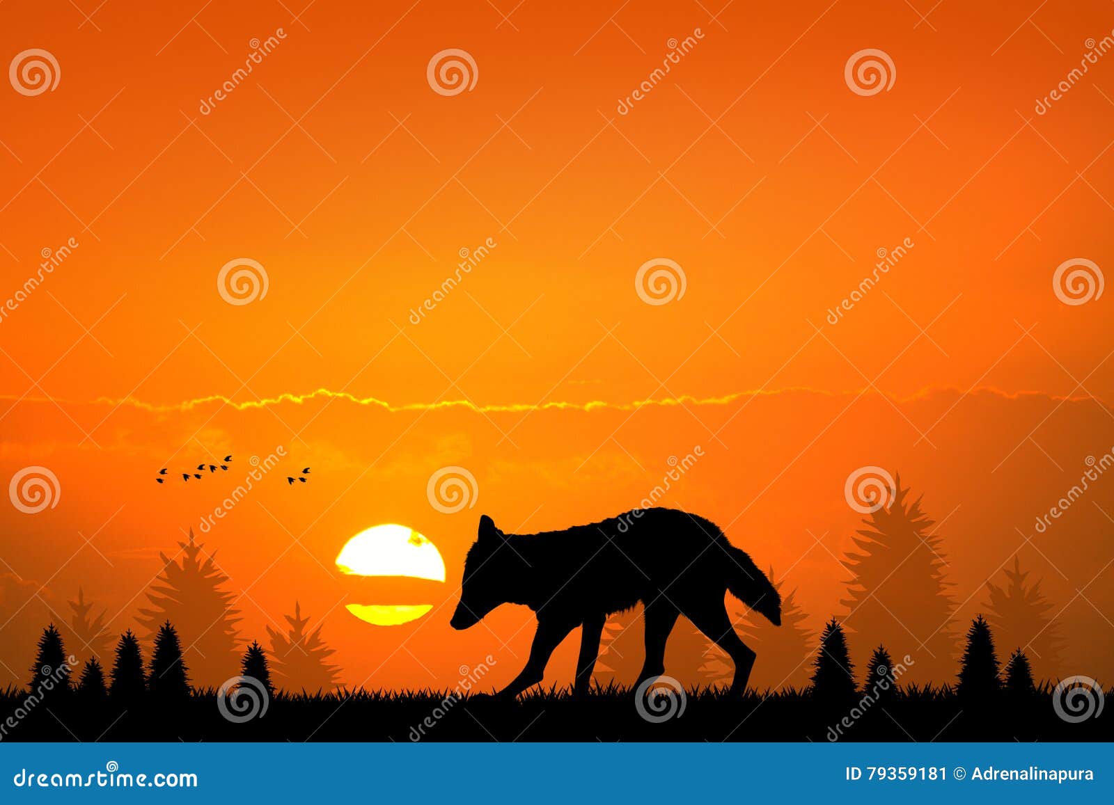 Red Fox in the Forest at Sunset Stock Illustration - Illustration of ...