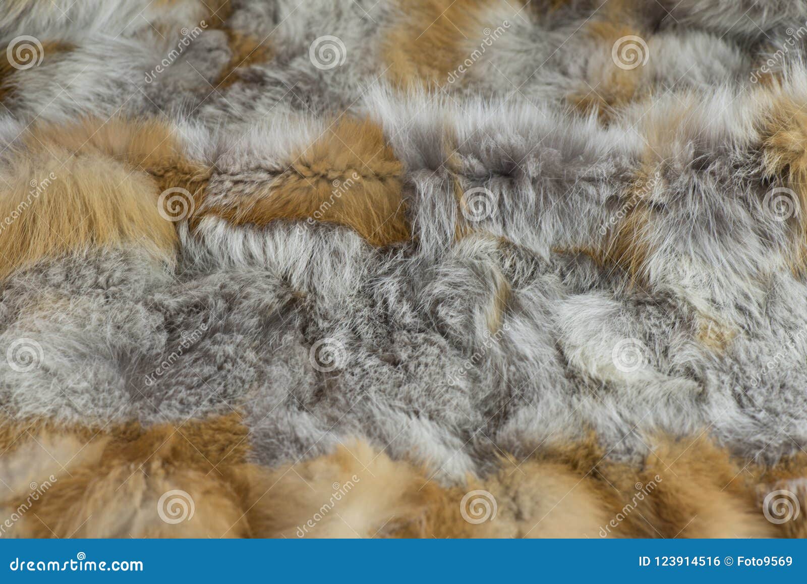 Red Fox Fur Background in Various Colors Stock Photo - Image of coat ...