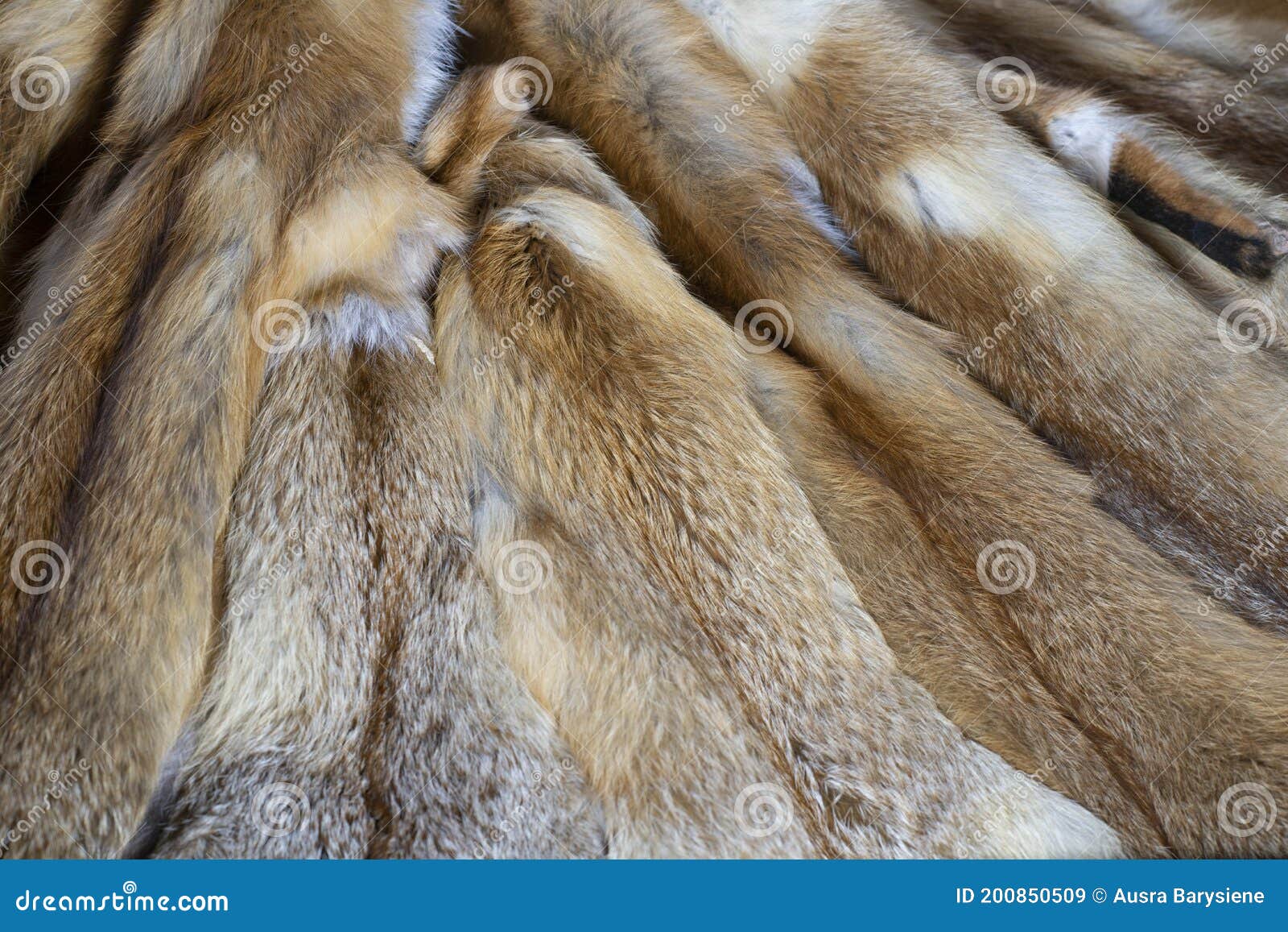 Red fox fur. Pile of fur stock image. Image of nice - 200850509