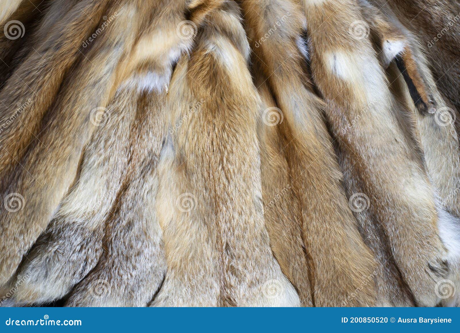 Red fox fur. Pile of fur stock photo. Image of elegance - 200850520