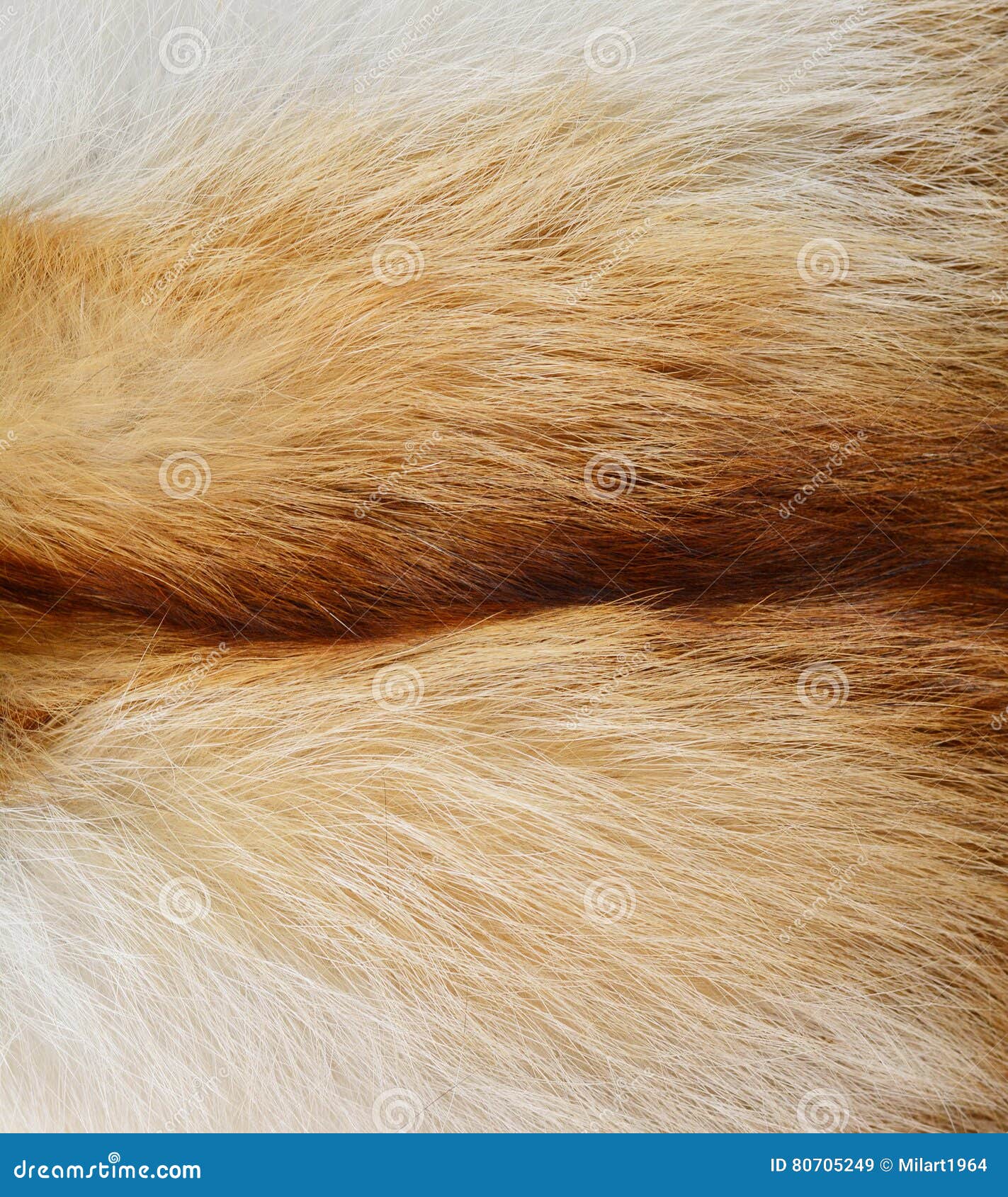 Red fox fur. stock image. Image of background, decor - 80705249