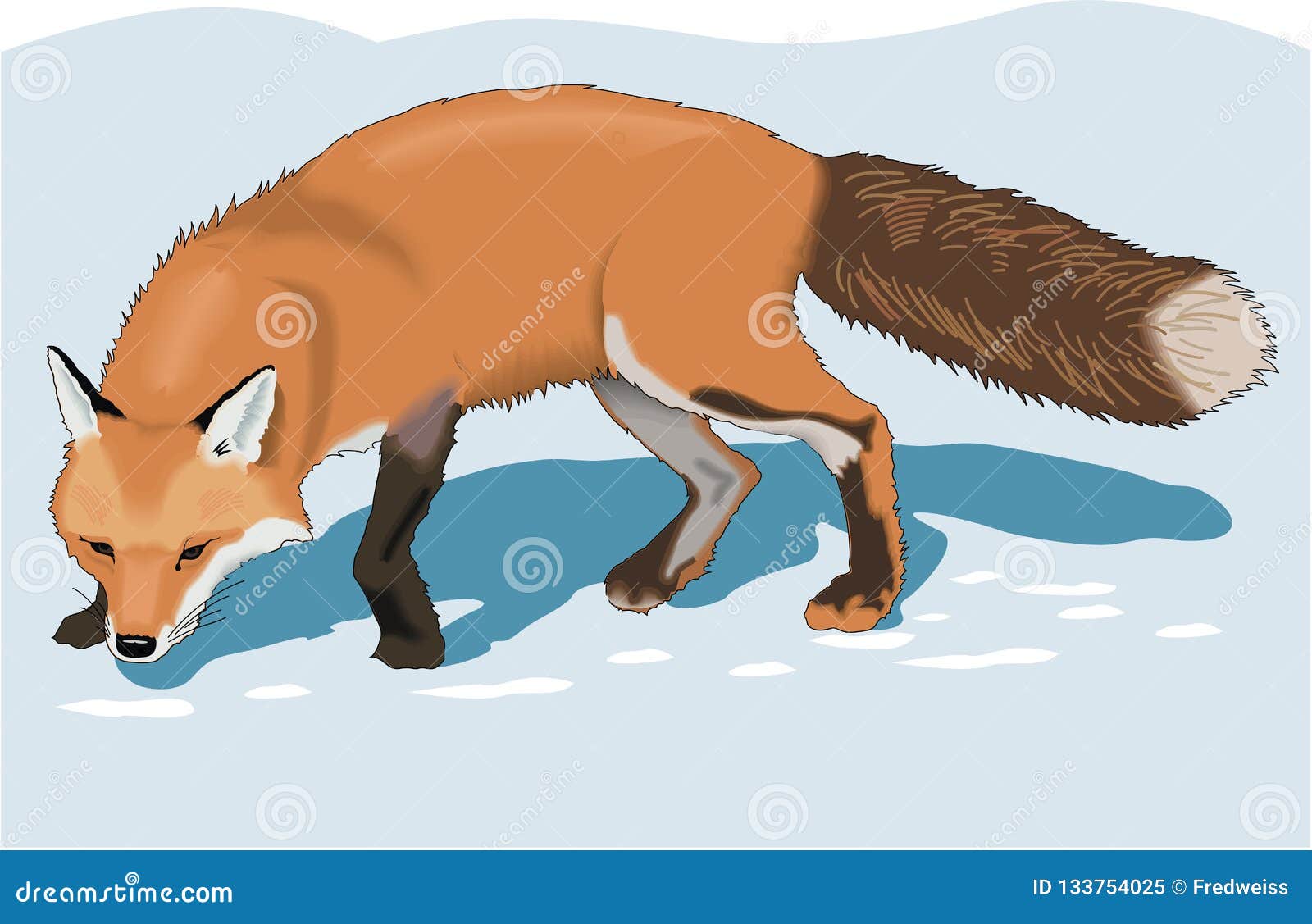 Red Fox Illustration stock vector. Illustration of mammals - 133754025