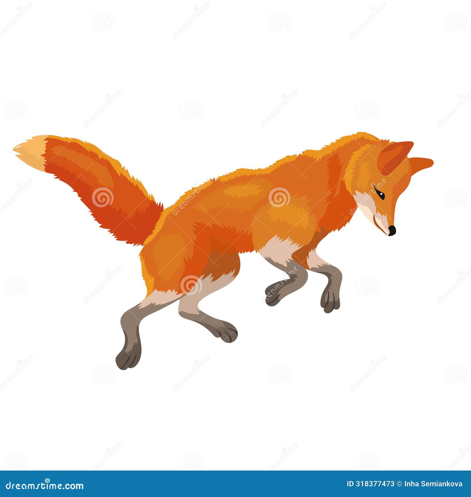 Red Fox in Jump Hunts for Prey Stock Vector - Illustration of animal ...