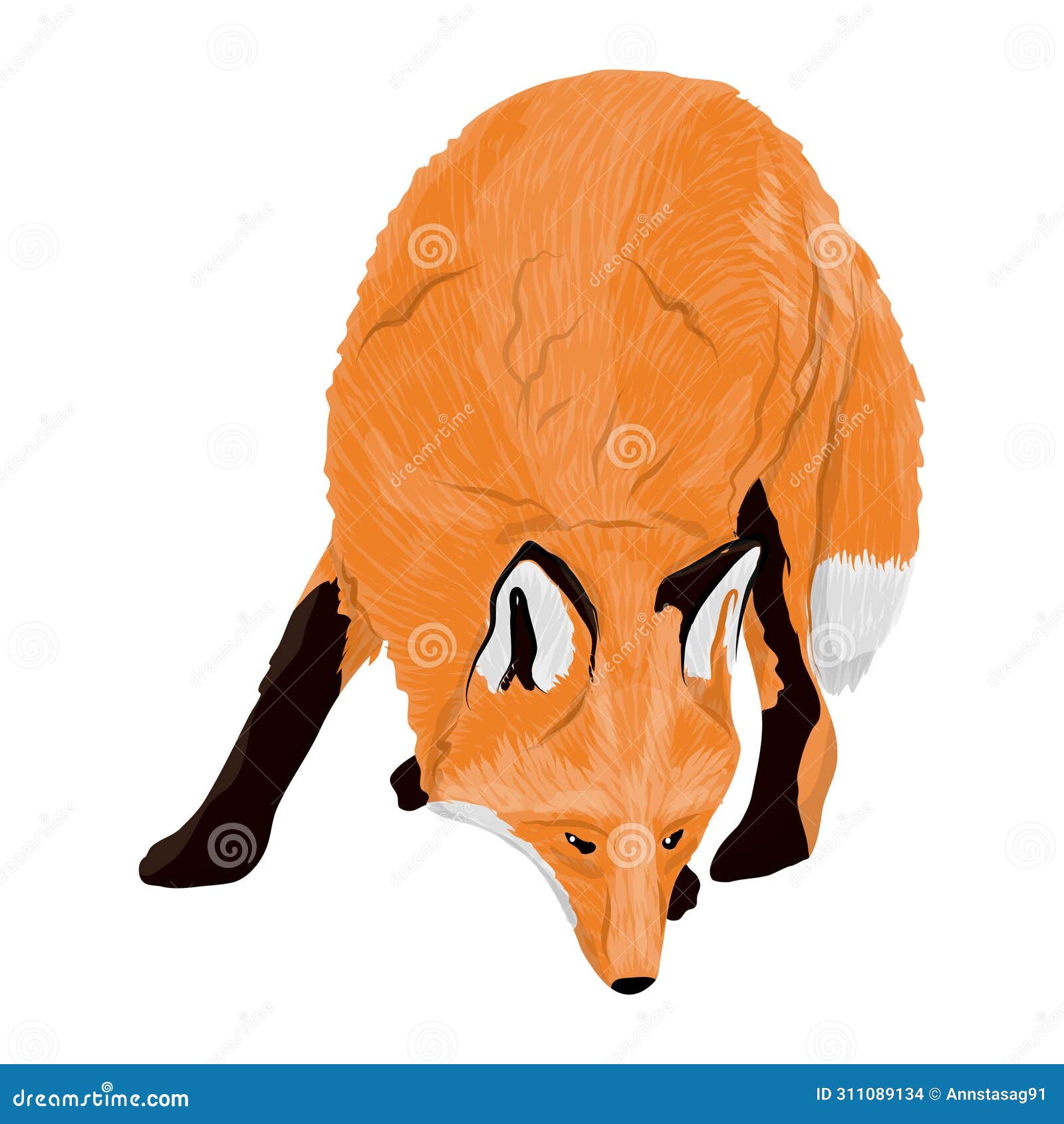 The red fox. stock vector. Illustration of design, cartoon - 311089134