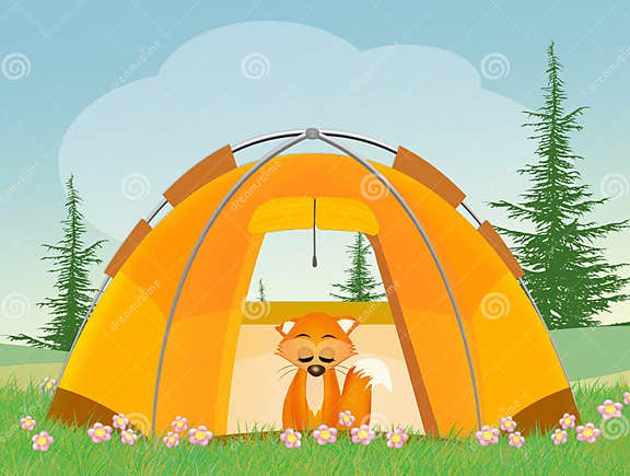 Red fox in the tent stock illustration. Illustration of outdoors ...