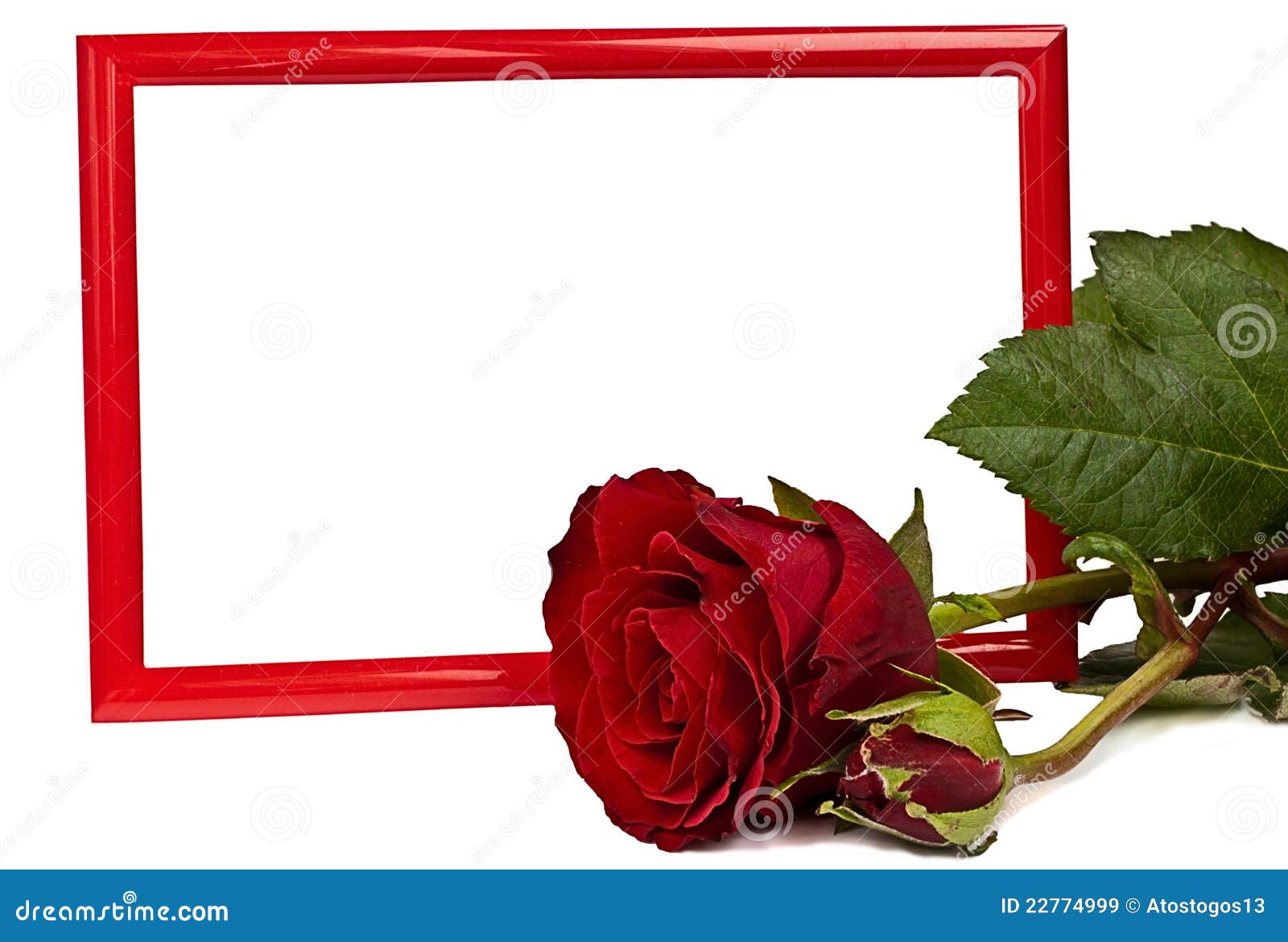 Red frame and rose stock image. Image of classical, blank - 22774999