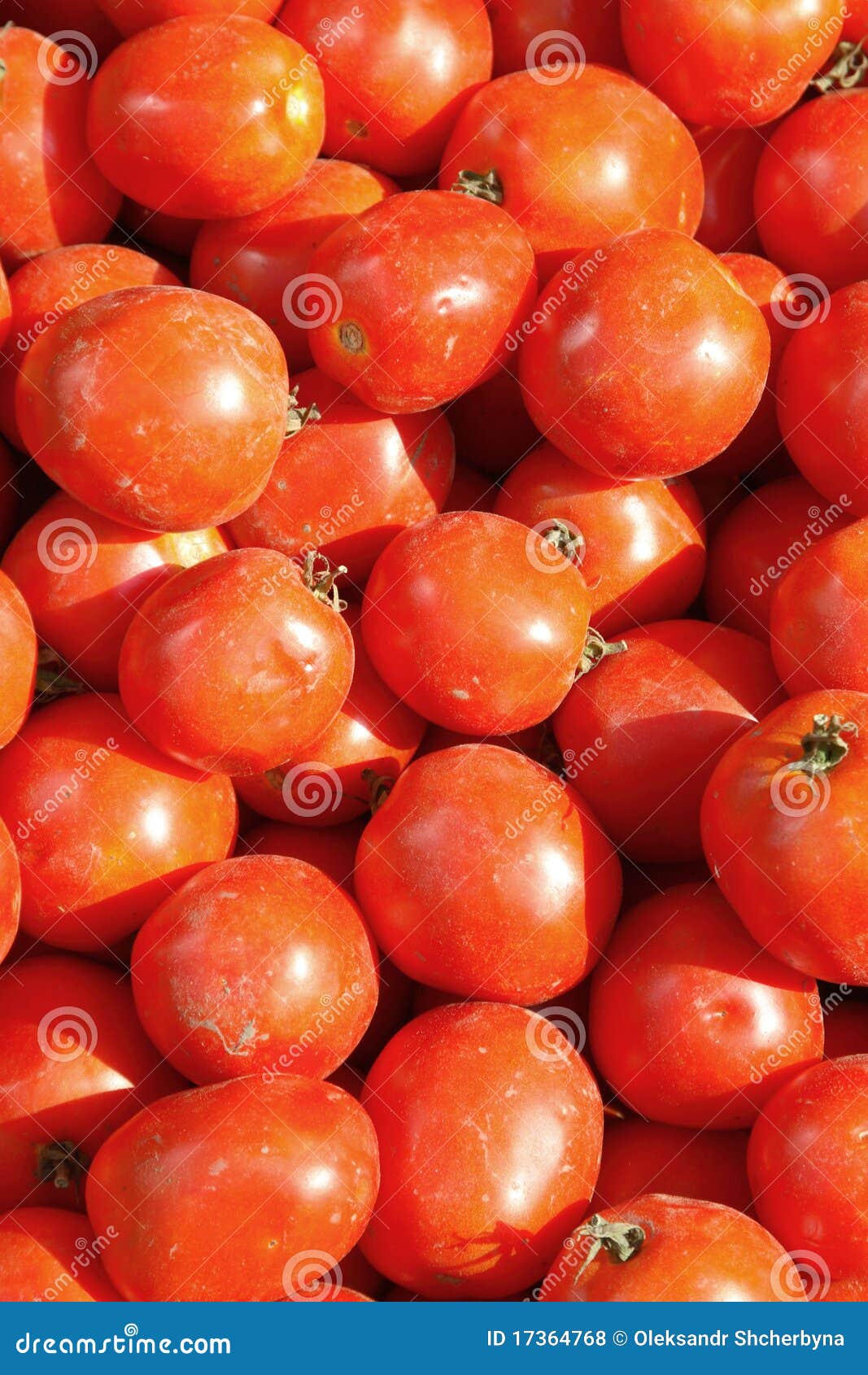 Red fresh stock photo. Image of fresh, color, lifestyles - 17364768