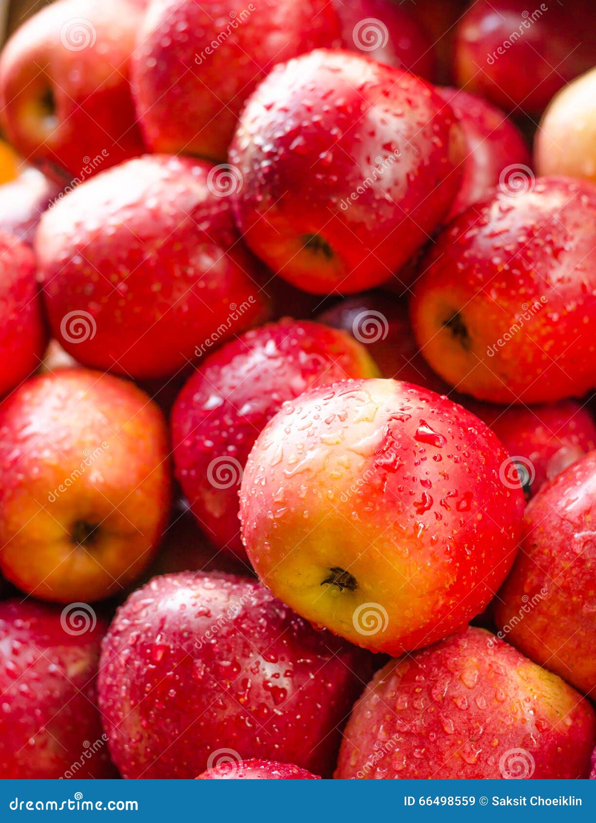 Red fresh apple stock image. Image of natural, fruit - 66498559