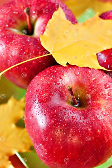 Red fresh apples stock photo. Image of crop, beverage - 22383260