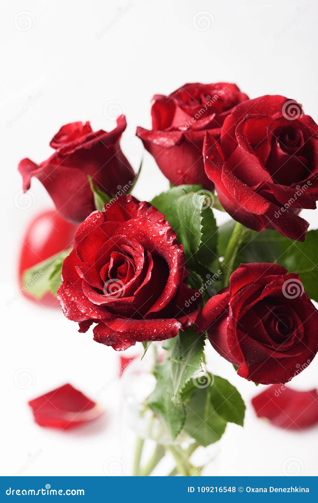Red Fresh Roses on the White Table Stock Photo - Image of beautiful ...