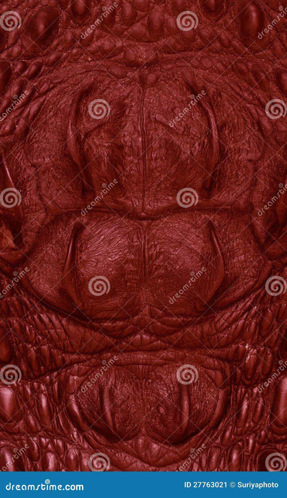 Red Freshwater Crocodile Red Skin Texture Stock Image - Image of mouth ...
