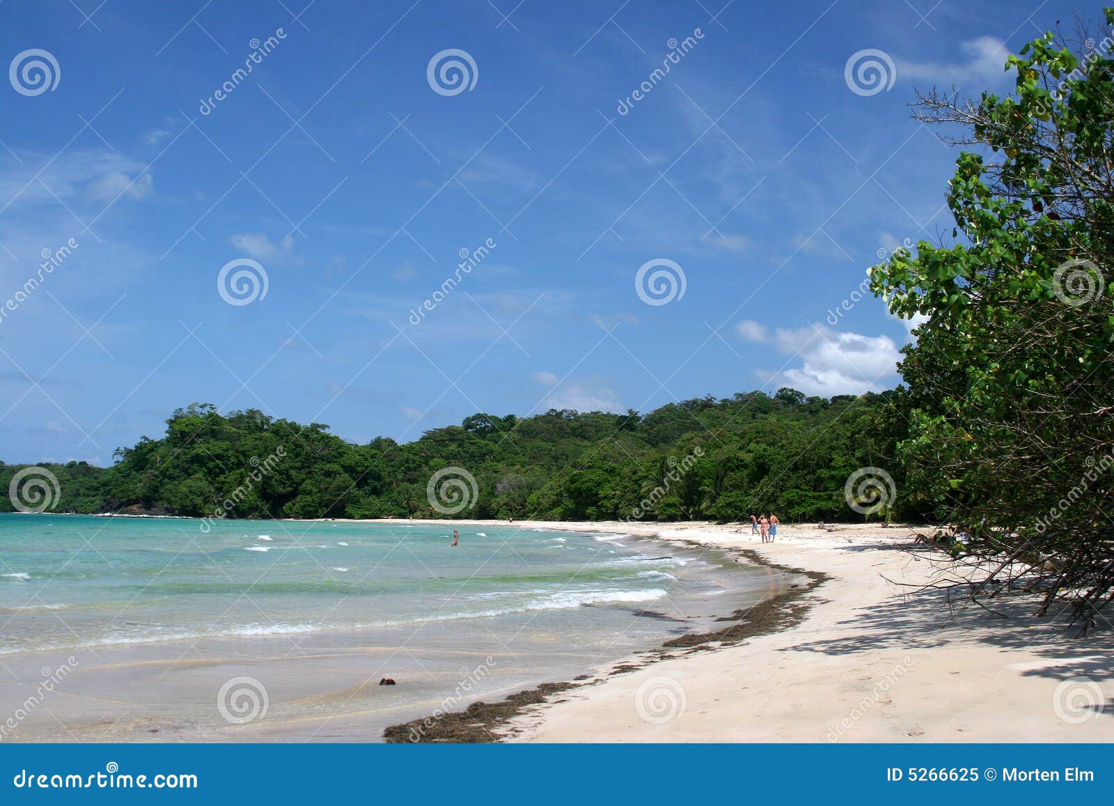 Red Frog Beach stock image. Image of beaches, panama, conserve - 5266625