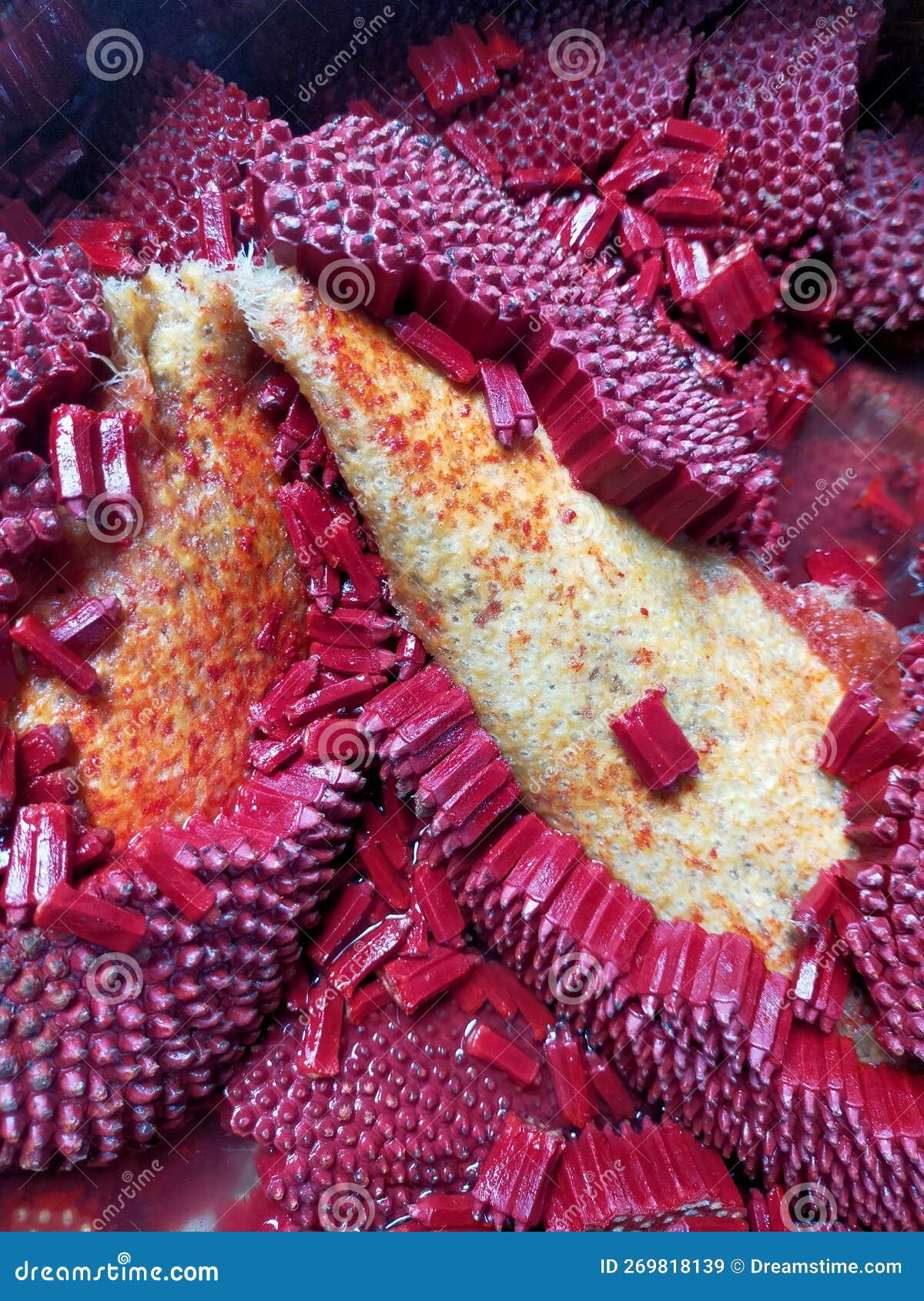 Red Fruit Many Benefits from Papua Stock Image - Image of fruit, papua ...