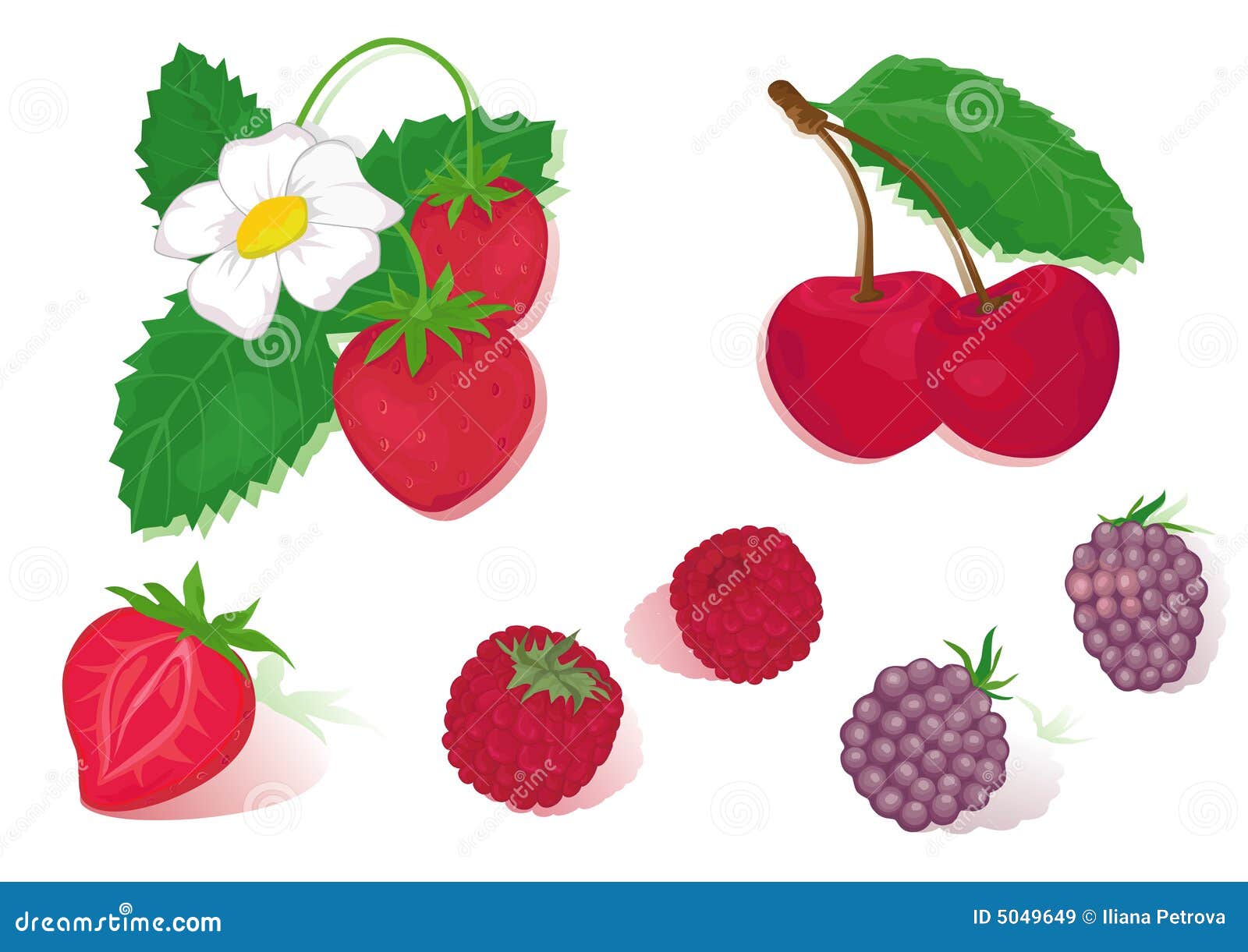 Red fruits stock vector. Illustration of color, piece - 5049649