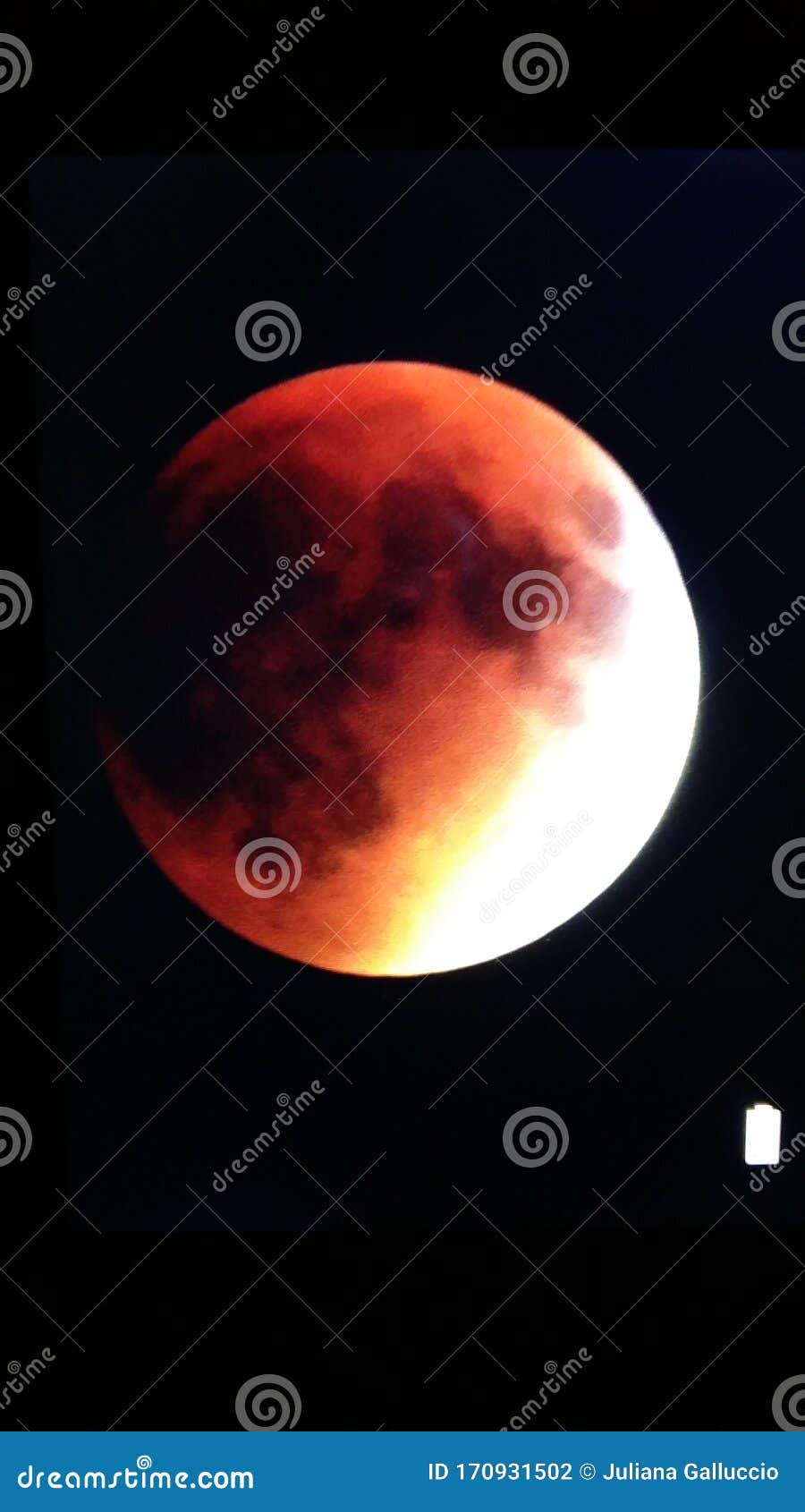 Red full moon stock photo. Image of unique, full, nature - 170931502