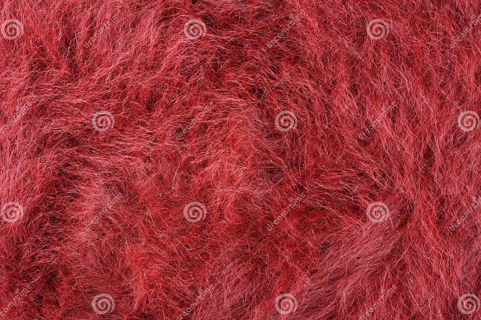 Red fur texture stock photo. Image of animal, softness - 341768580